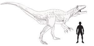 Giant Megaraptor Fossils Discovered in Argentina