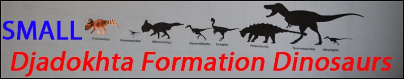 June 1, 2020 | Everything Dinosaur Blog