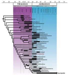 Irisosaurus yimenensis - New Species of "Core Prosauropod"