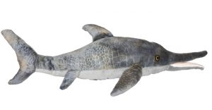 October 12, 2020 | Everything Dinosaur Blog