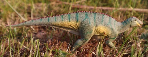 CollectA Kamuysaurus Dinosaur Model Examined