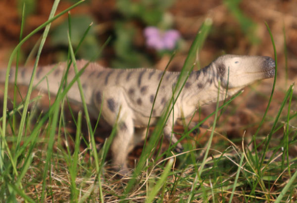 CollectA Megalosaurus in Ambush Dinosaur Model Reviewed