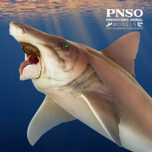 PNSO to Add a Helicoprion Model to Their Range