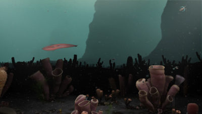 Reinterpreting the Burgess Shale Deposits