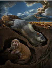 The Jehol Biota and the Talented Artist Zhao Chuang