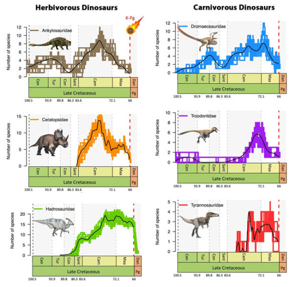 Asteroid Impact and the Decline of the Dinosaurs