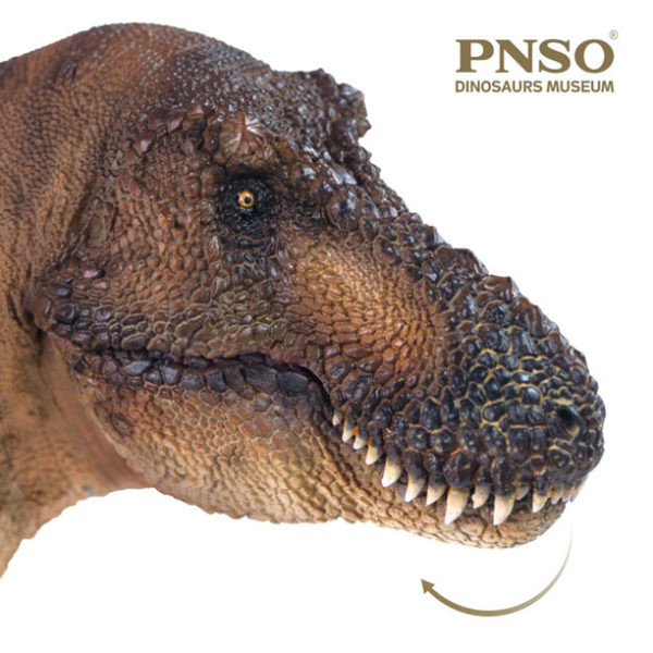PNSO to Introduce Female Tyrannosaurus rex in a Resting Pose