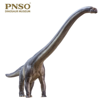 July 28, 2021 | Everything Dinosaur Blog