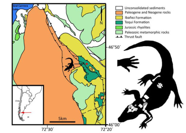 Newly Described Prehistoric Crocodile from Southern Chile