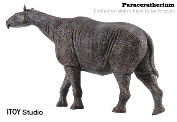 ITOY Studio Paraceratherium Models Arrive