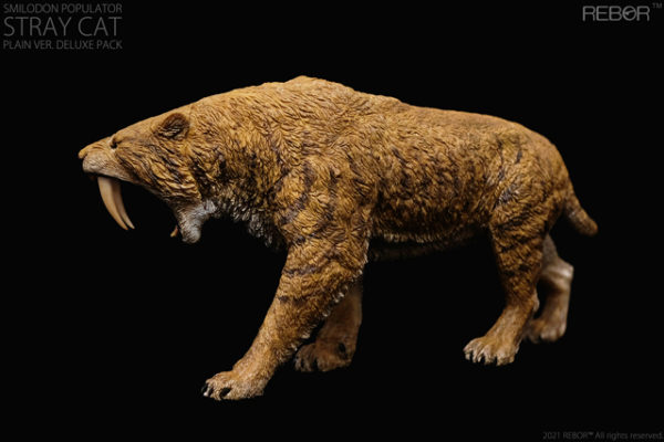 Rebor Smilodon Models are Coming to Everything Dinosaur