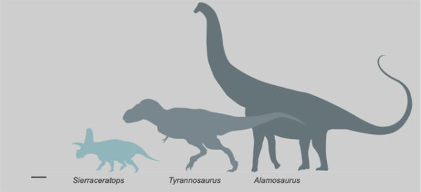 October 5, 2021 | Everything Dinosaur Blog