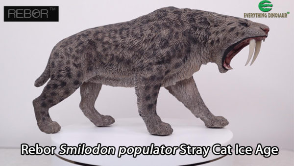 Favourite Blog Posts