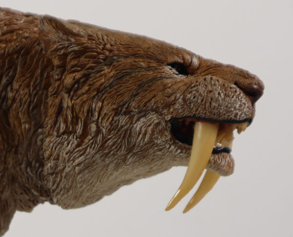 Rebor Smilodon populator Stray Cat (Plain)