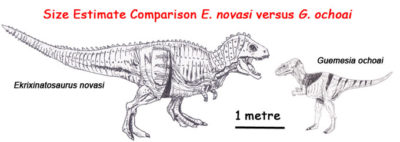 A New Abelisaurid from North-western Argentina