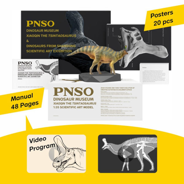 PNSO Tsintaosaurus to be Stocked by Everything Dinosaur