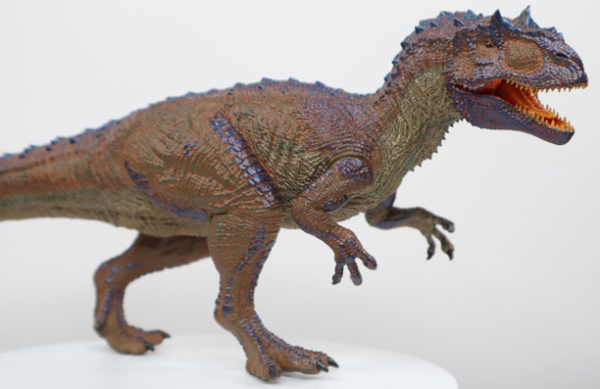 Rebor Dinosaur Models in the Everything Dinosaur Newsletter