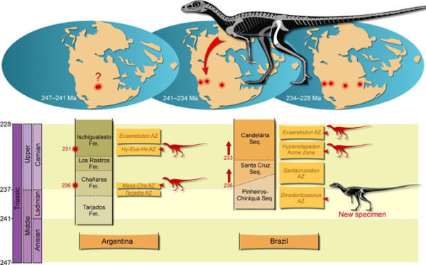 The Oldest Dinosauromorph from South America