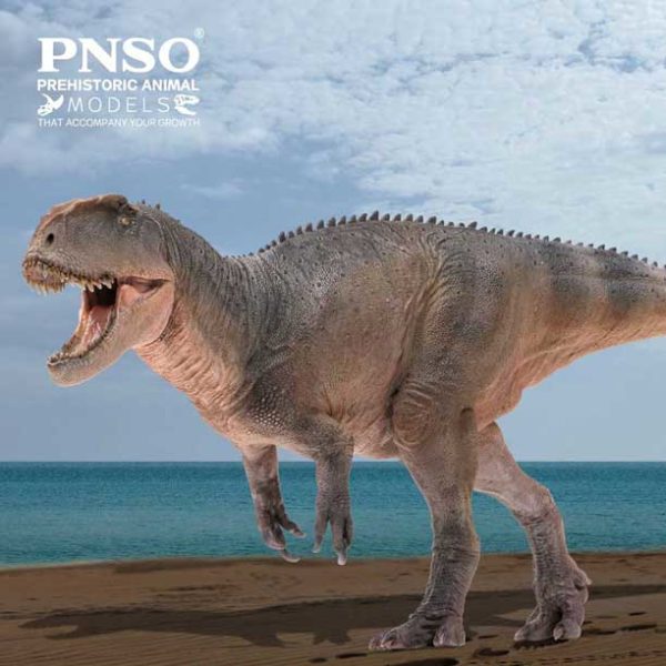 PNSO Sinraptor Model and Everything Dinosaur