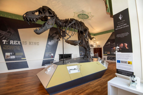 Titus the T. rex Exhibition Unveils a Microscopic T. rex Model
