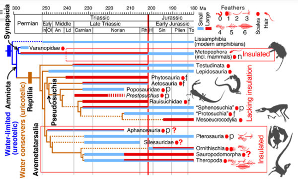 Cold Climate Permitted Dinosaurs and Pterosaurs to Thrive