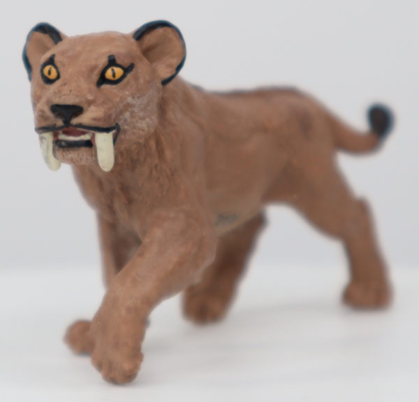 Sabre-Toothed Cats are not Closely Related to Tigers
