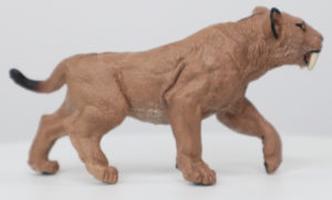 Smilodon Cub Model Suggestion