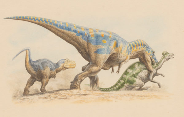 An Auction of the Palaeoart Collected by Anthony Beeson