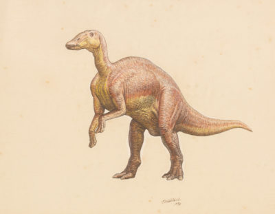 Dinosaur and Prehistoric Animal Drawings