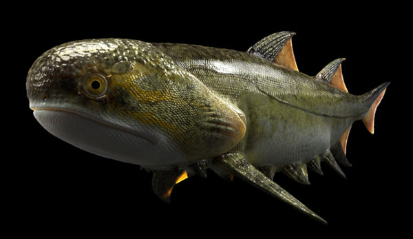 Ancient "Sharks" Appeared Much Earlier
