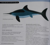 Princeton Field Guide to Mesozoic Sea Reptiles