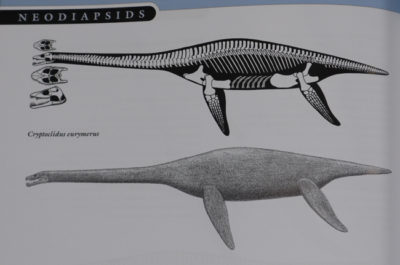 Princeton Field Guide to Mesozoic Sea Reptiles