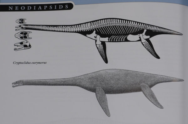 Princeton Field Guide to Mesozoic Sea Reptiles