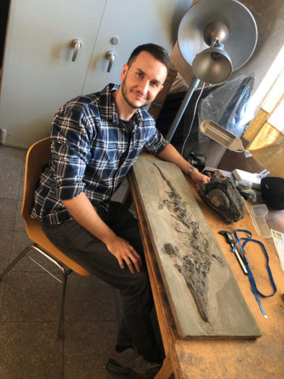 Marine reptile casts - copies of priceless fossil specimen