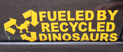 October 23, 2022 | Everything Dinosaur Blog