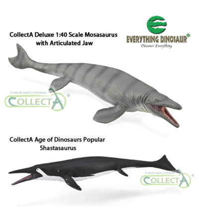 CollectA Mosasaurus and CollectA Shastasaurus Video Review