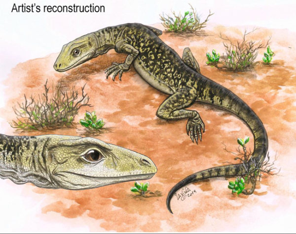 Modern Lizards in the Triassic