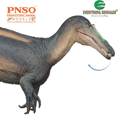 PNSO Thabo the Suchomimus