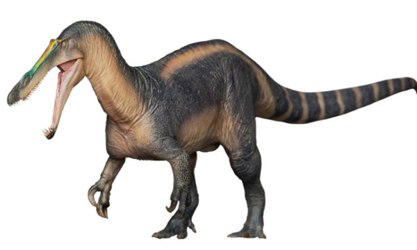 PNSO Thabo the Suchomimus