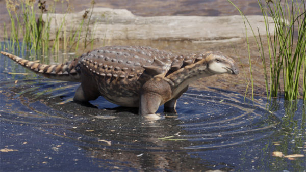 Dwarf Nodosaurid Patagopelta from Argentina