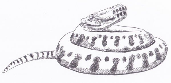 Prehistoric Times Magazine (Issue 144)