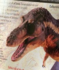 How Big was the Brain of T. rex? A very Smart T. rex