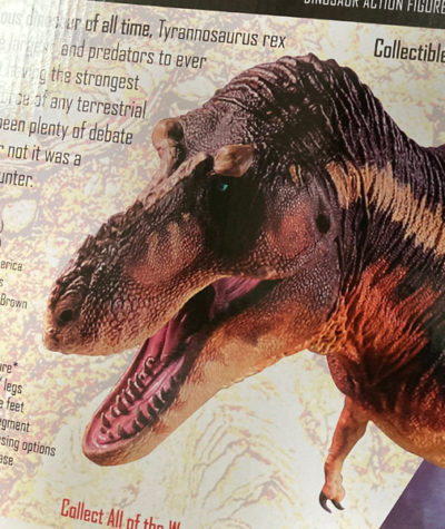 How Big was the Brain of T. rex? A very Smart T. rex