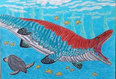 Mosasaurus Drawing