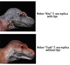Tyrannosaurus rex had Lips According to New Study