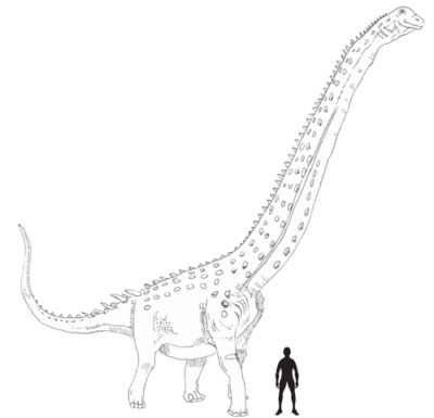 Dinosaur and Prehistoric Animal Drawings