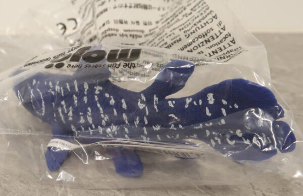 The Mojo Fun Coelacanth Model is in Stock