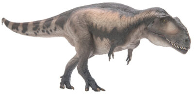 PNSO Mila the Mapusaurus Dinosaur Model Soon to Arrive