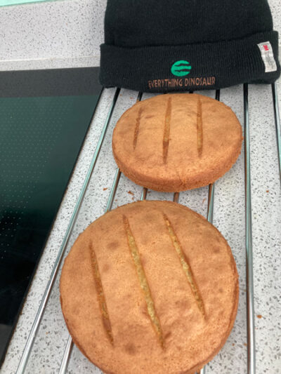 Dinosaur Birthday Cake with "Raptor" Claws