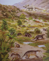 Prehistoric Times Magazine Reviewed by Everything Dinosaur